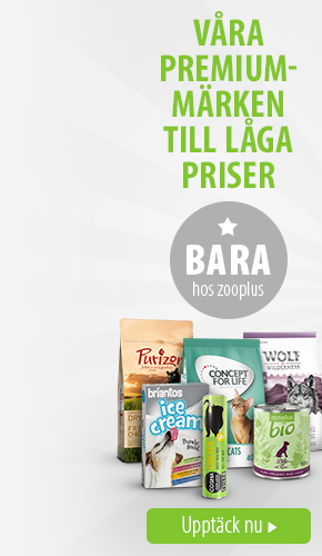 Kattraser - med bilder och information | zooplus Magasin